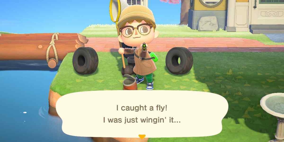 ACNH Flies Not Spawning? Here's How To Fix It!