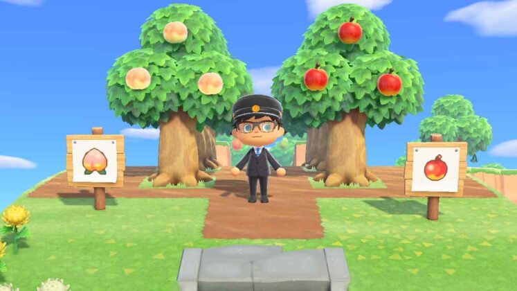 How To Pick Up Apples In Animal Crossing: A Beginner's Guide