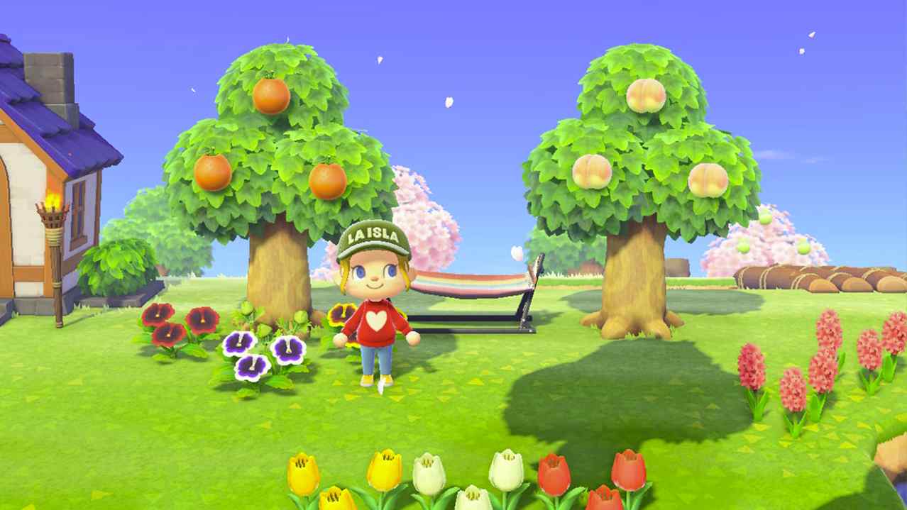 How To Get Oranges In ACNH? - A Step-By-Step Guide