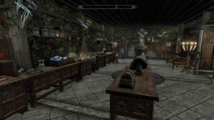 Skyrim: Where Can I Store My Items? A Comprehensive Guide