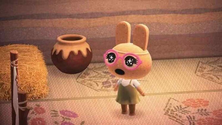 The Best Gifts for Coco In Animal Crossing: New Horizons