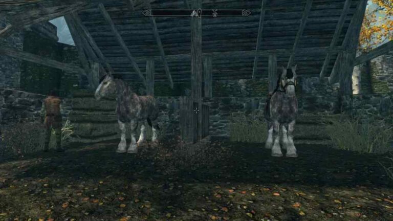 What Is ENB In Skyrim? Ultimate Guide To Game Enhancement