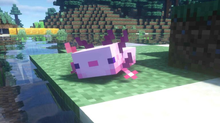 Do Axolotls Despawn In Minecraft? - All You Need To Know