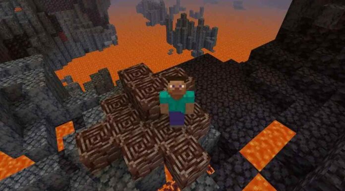 How To Tame A Dragon In Minecraft? - Step-By-Step Guide