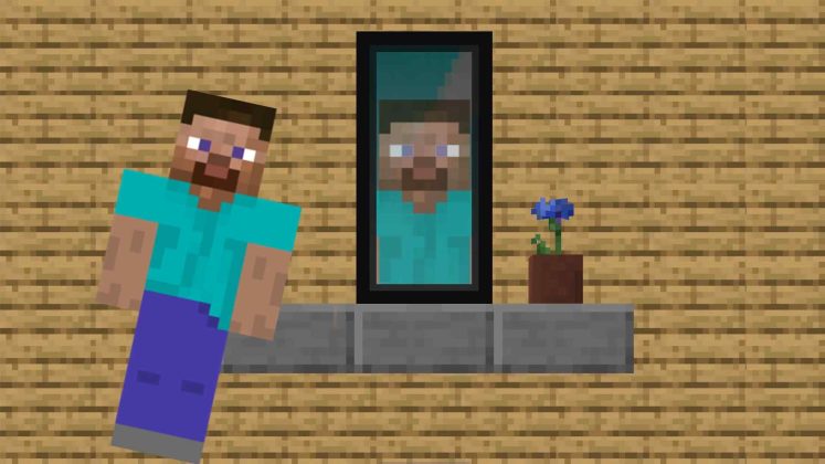 How Much Can Steve From Minecraft Carry? - Game Boy World