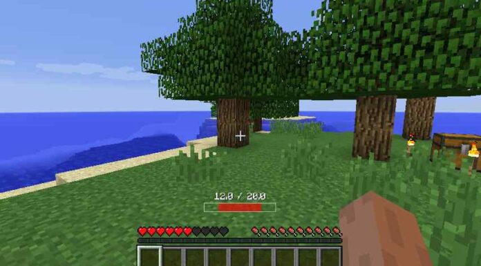 How To Make It Always Day In Minecraft? (Quick & Easy)