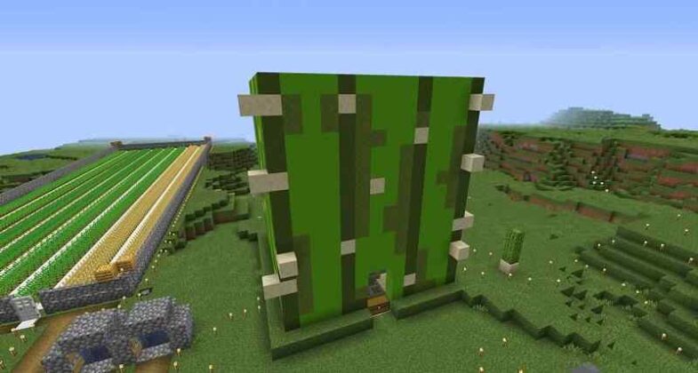 How To Make Cactus Grow Faster In Minecraft? (Quick Guide)