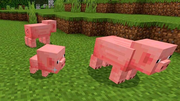 What Do Pigs Eat In Minecraft? - A Comprehensive Guide