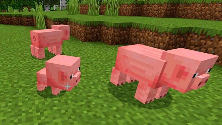 What Do Pigs Eat In Minecraft? - A Comprehensive Guide