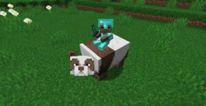 How Rare Is A Brown Panda In Minecraft? - Brown Panda Rarity