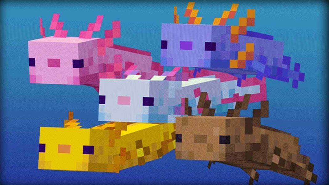 Do Axolotls Despawn In Minecraft? - All You Need To Know