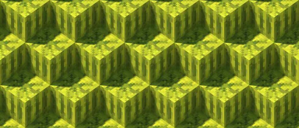 What Do Nautilus Shells Do In Minecraft? – All You Need To Know