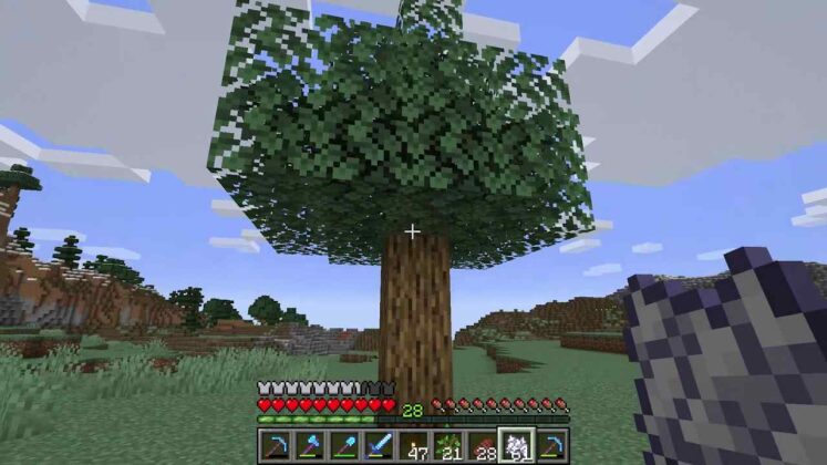 How Long Does It Take For Trees To Grow In Minecraft?