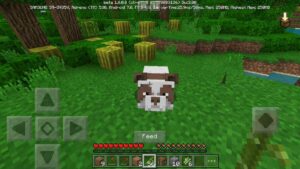 How Rare Is A Brown Panda In Minecraft? - Brown Panda Rarity