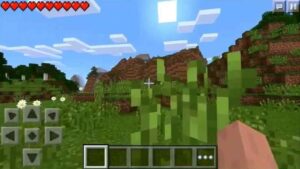 How to Check Light Levels in Minecraft? - A Complete Guide
