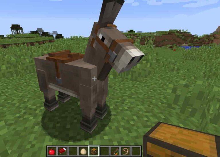 How To Put A Chest On A Horse In Minecraft? Step-By-Step Guide
