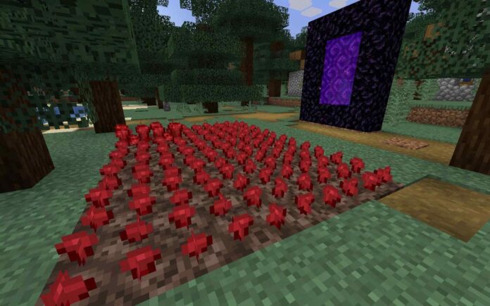 How To Make Nether Wart Grow Faster In Minecraft - 2023 Guide