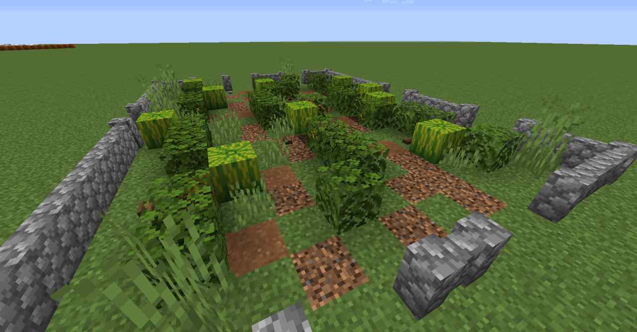 How Long Does It Take For Melons To Grow In Minecraft?
