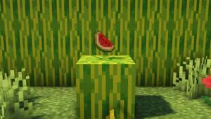How Long Does It Take For Melons To Grow In Minecraft?