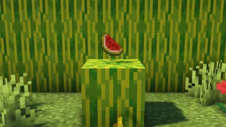 How Long Does It Take For Melons To Grow In Minecraft?