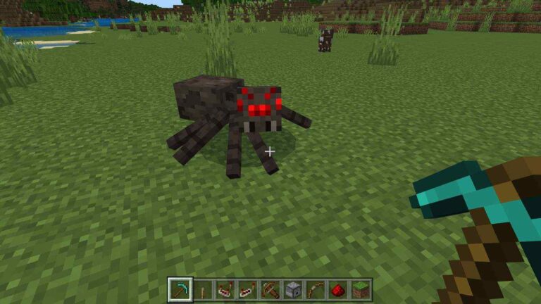 What Do Spiders Eat In Minecraft? | Spider Feeding Guide