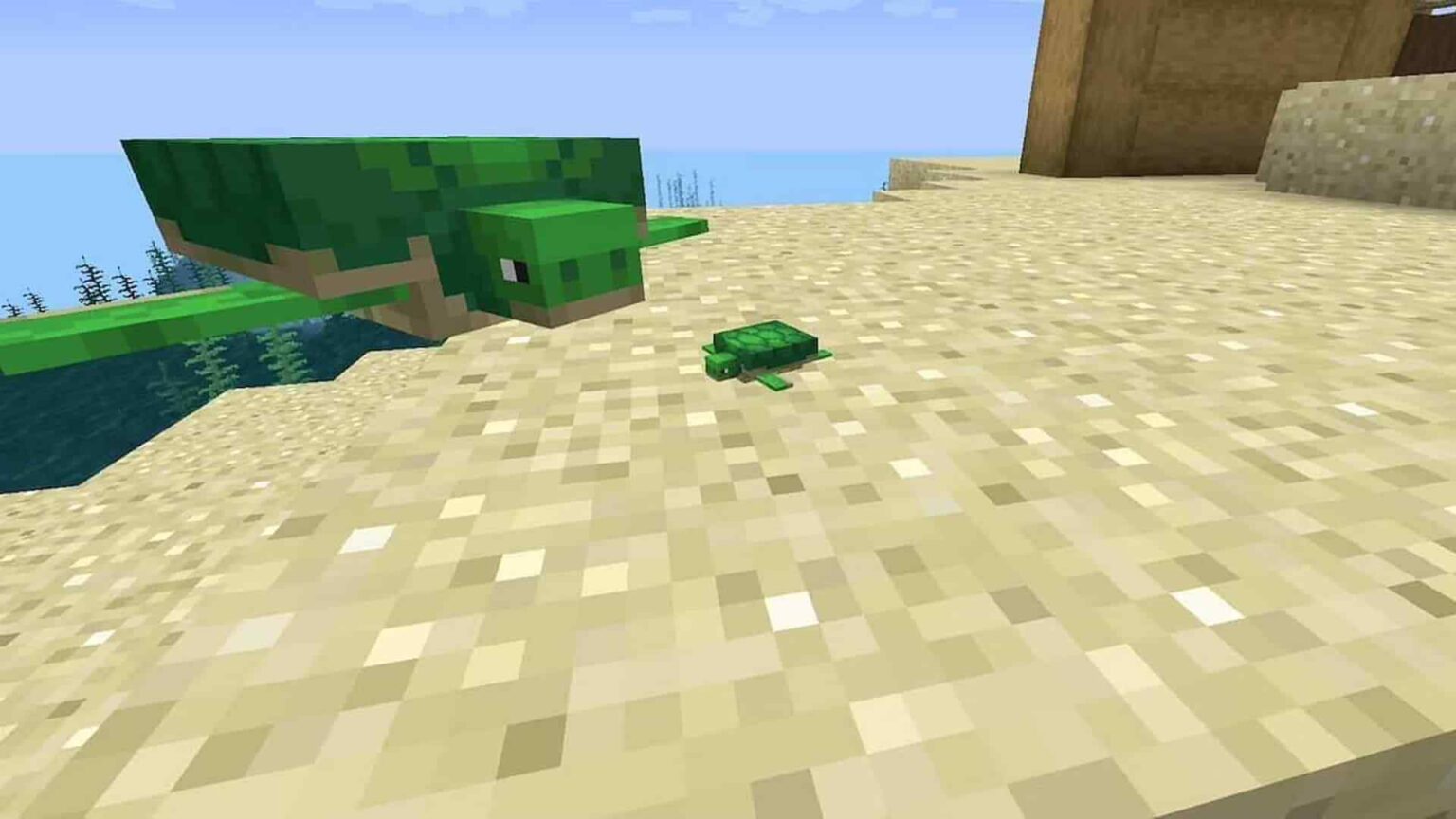 What Do Turtles Eat In Minecraft? - The Ultimate Guide