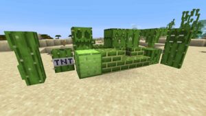 How To Make Cactus Grow Faster In Minecraft? (Quick Guide)