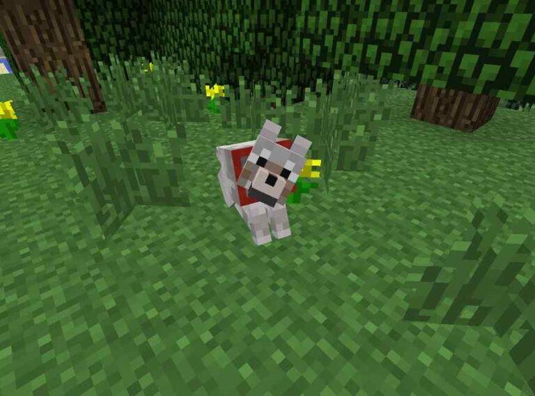 What Do Dogs Eat In Minecraft? - The Ultimate Guide