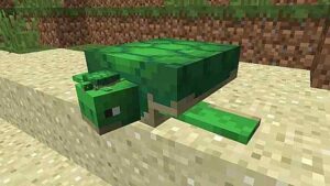 What Do Turtles Eat In Minecraft? - The Ultimate Guide