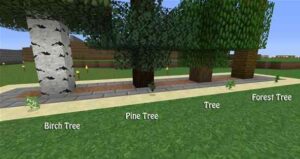 How Long Does It Take For Trees To Grow In Minecraft?
