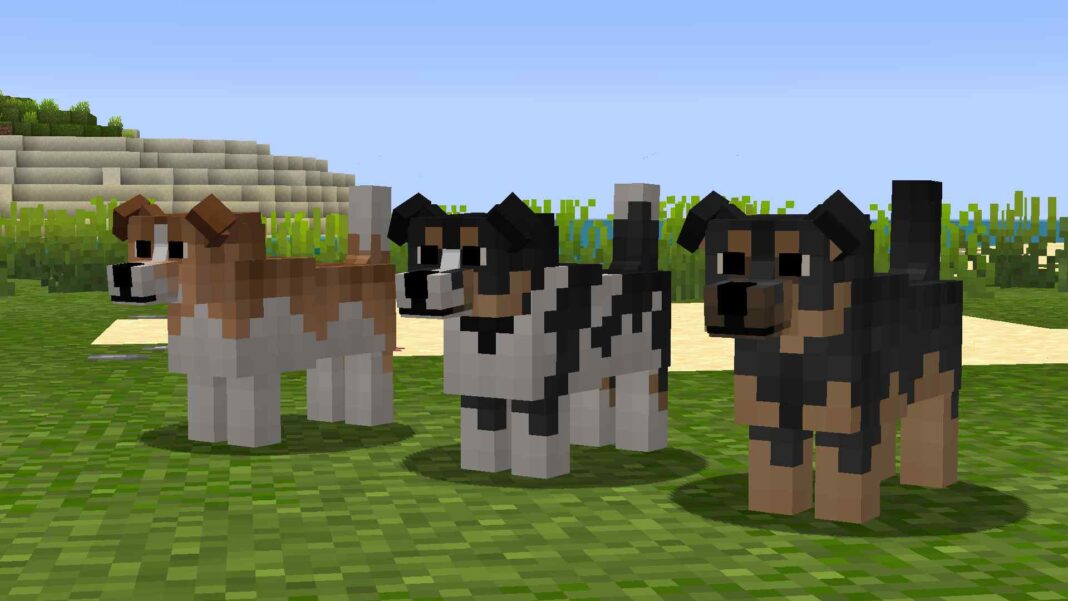 What Do Dogs Eat In Minecraft? - The Ultimate Guide