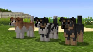 What Do Dogs Eat In Minecraft? - The Ultimate Guide
