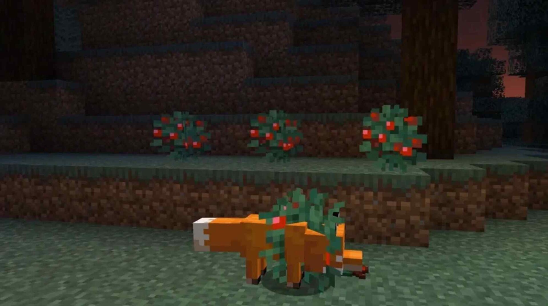 What Do Foxes Eat In Minecraft & How To Tame Them? (Guide)