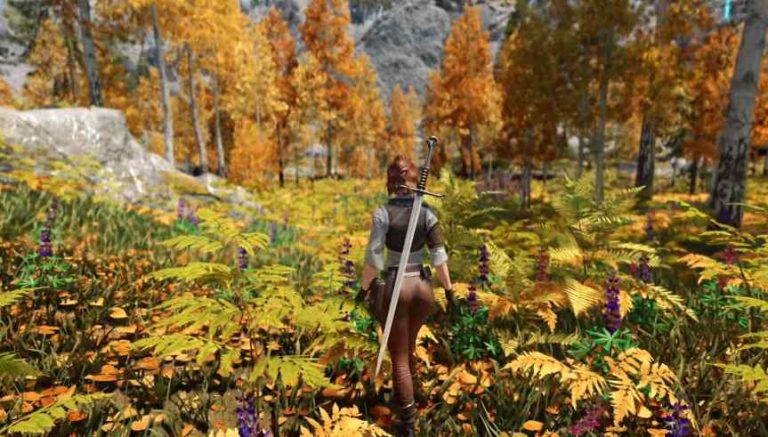 What Is ENB In Skyrim? Ultimate Guide To Game Enhancement