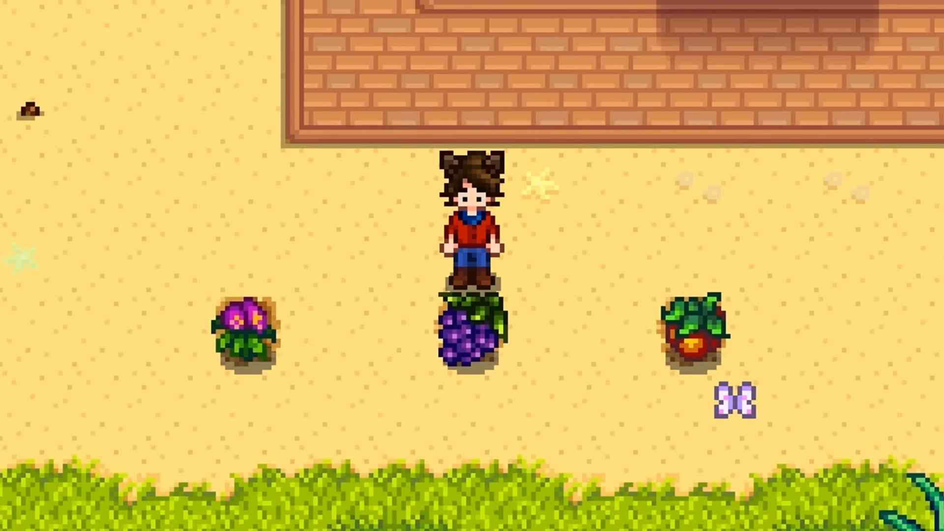 How To Quickly Level Up Foraging In Stardew Valley - Game Boy World