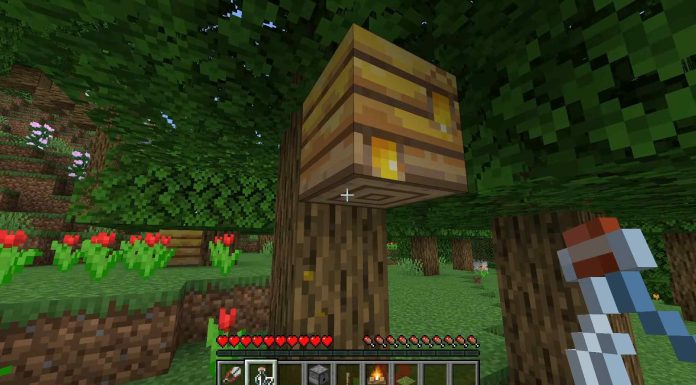 What Do Turtles Eat In Minecraft? - The Ultimate Guide