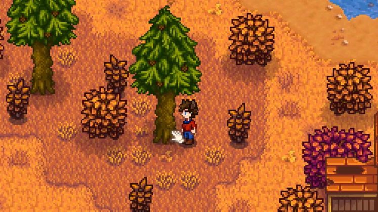 How To Quickly Level Up Foraging In Stardew Valley - Game Boy World