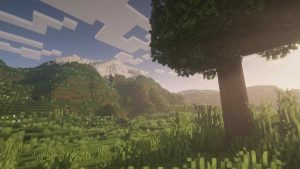 How To Force Play Music Using Command Block In Minecraft?