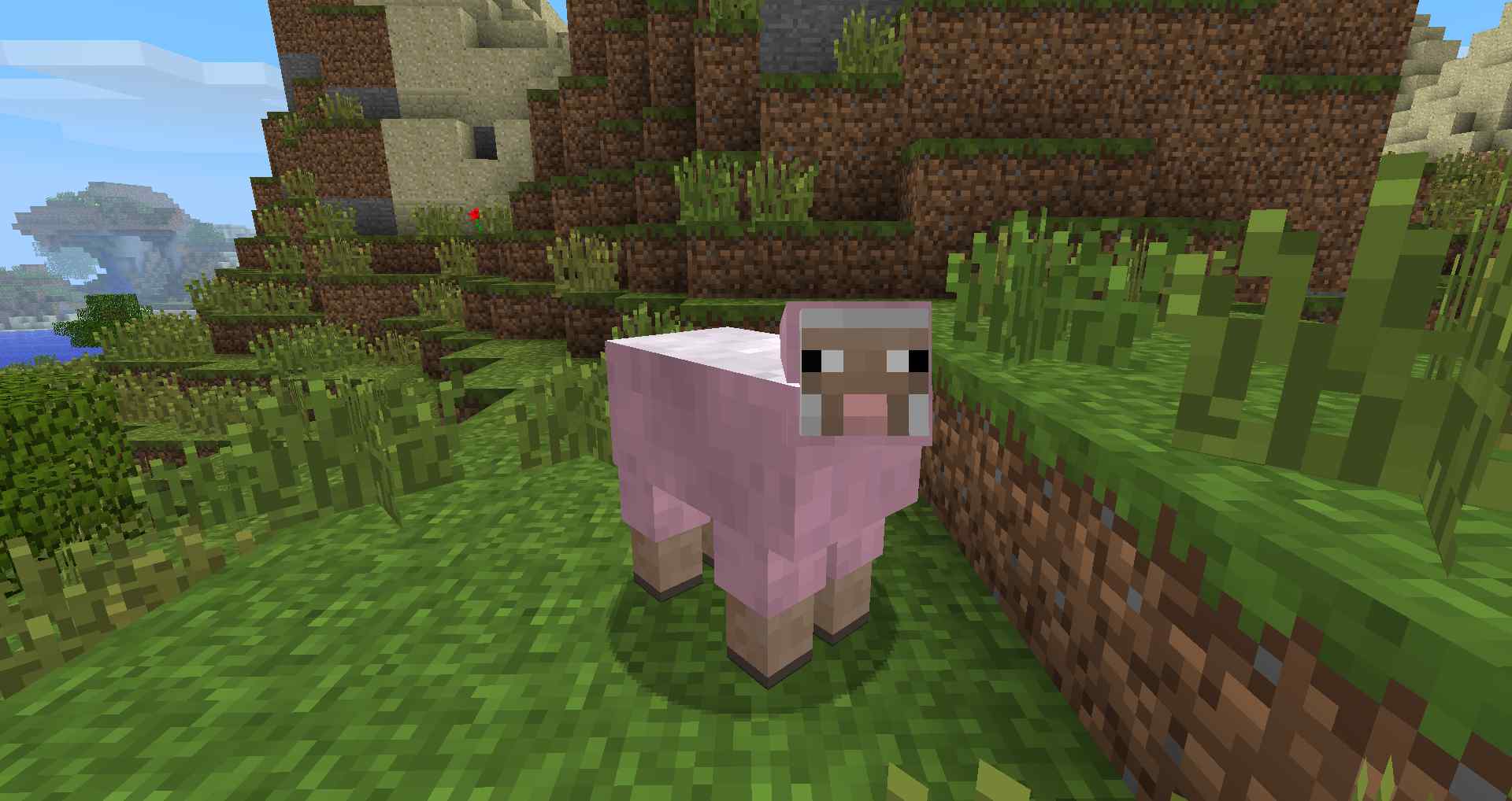 Pink Sheep In Minecraft – Spawn Probability & Fun Facts
