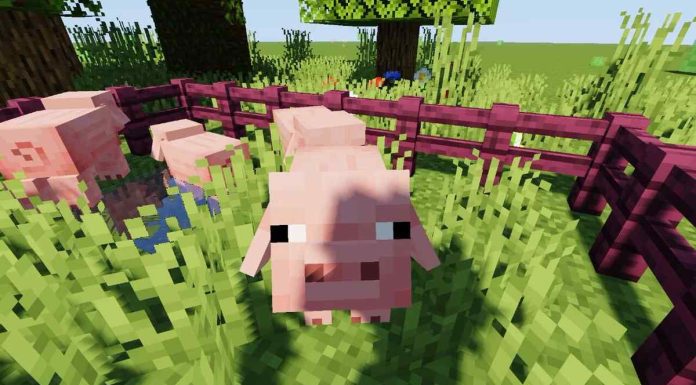 What Do Spiders Eat In Minecraft? | Spider Feeding Guide