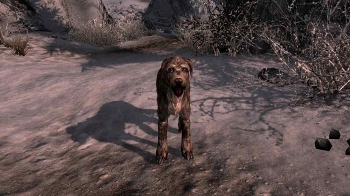 Skyrim Can't Find Barbas? - Here's Your Step-By-Step Guide