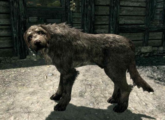 Skyrim Can't Find Barbas? - Here's Your Step-By-Step Guide