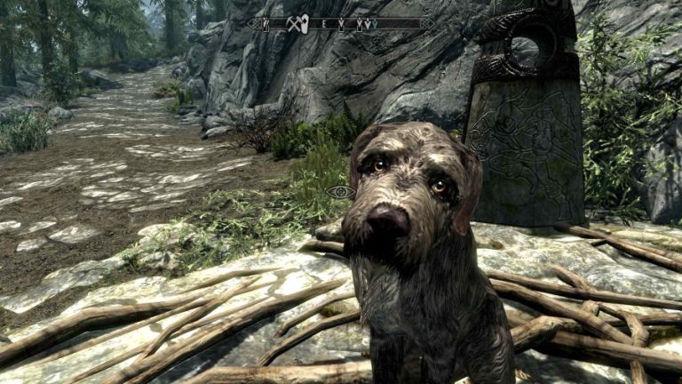 Skyrim Can't Find Barbas? - Here's Your Step-By-Step Guide
