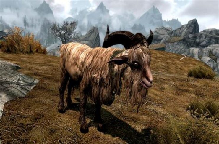 How Big Is Skyrim Map & How Does It Compare To The Real World