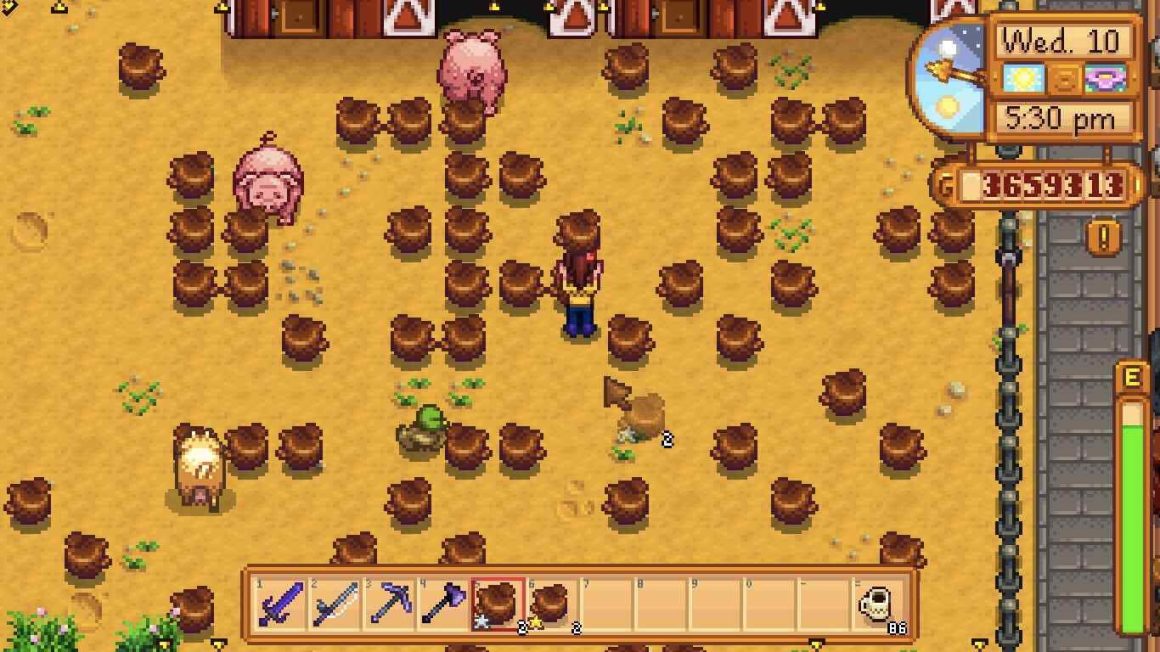 How To Get Truffles In Stardew Valley? – Quick Guide - Game Boy World