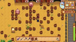 How To Get Truffles In Stardew Valley? – Quick Guide - Game Boy World