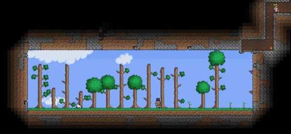 How To Build Your Own Tree Farm In Terraria – Step-by-Step Guide - Game ...